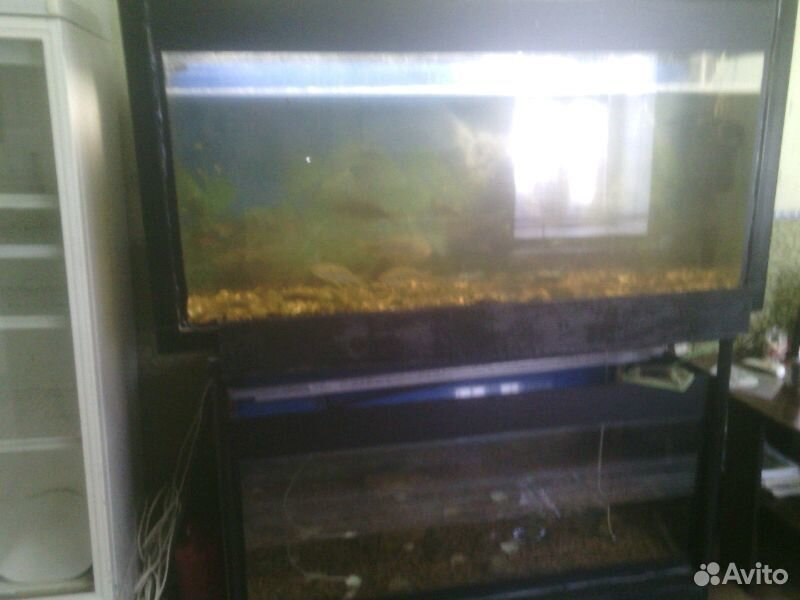 Аквариум 500л