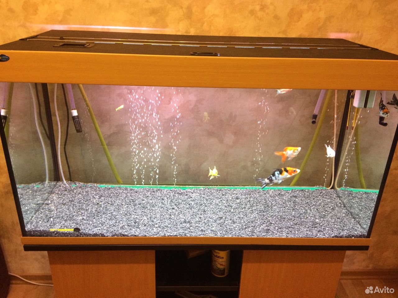 Аквариум биодизайн 300 литров