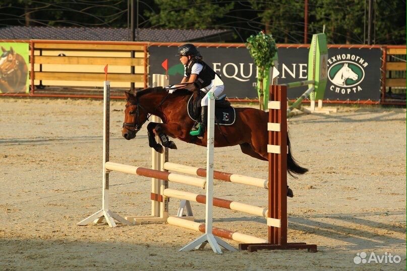 Спортивная пони