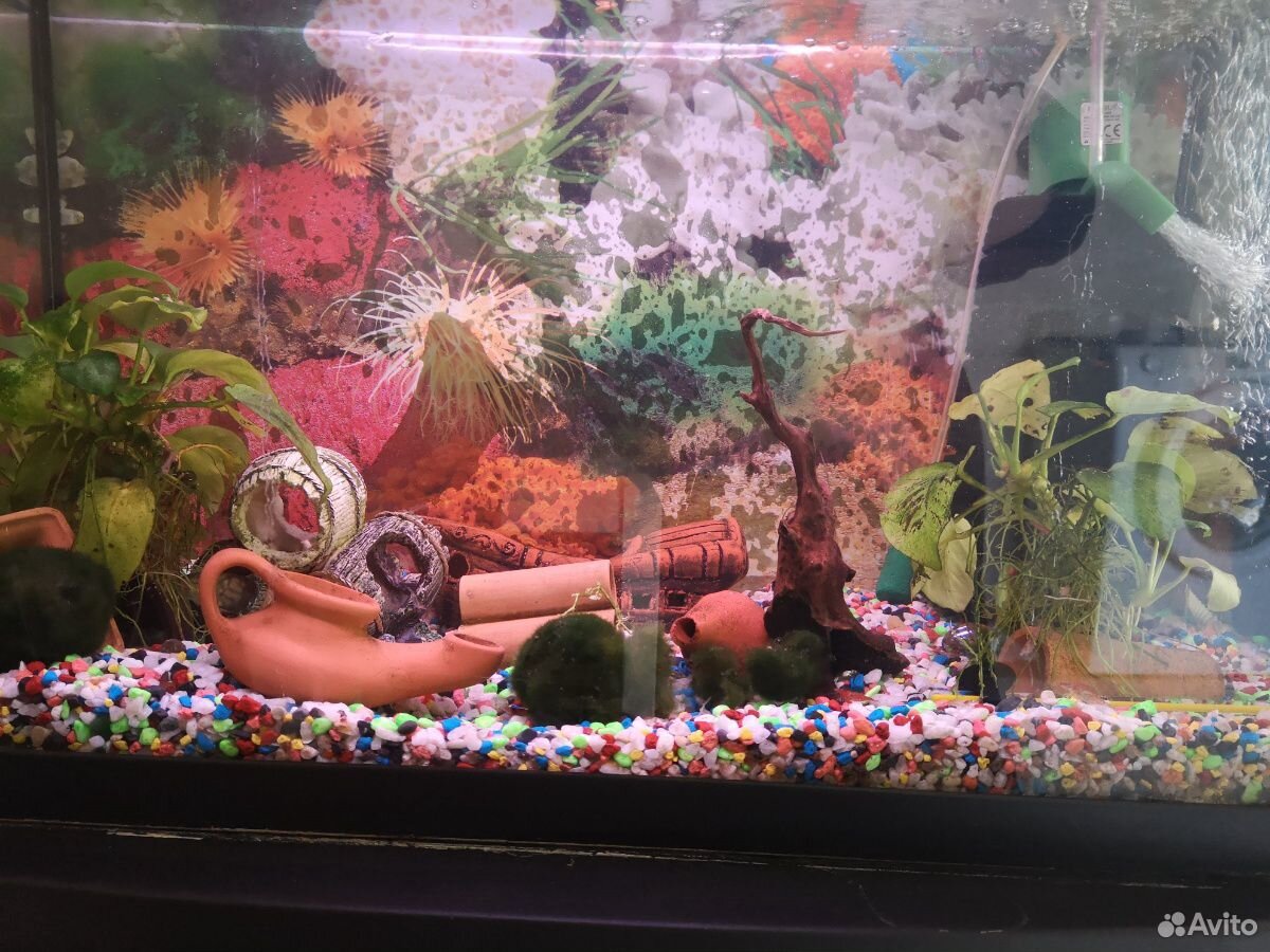 Аквариум с тумбой