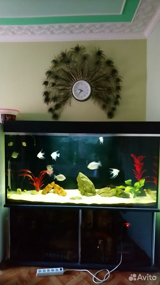 Аквариум 640л
