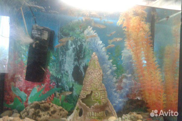 Аквариум 108 литров