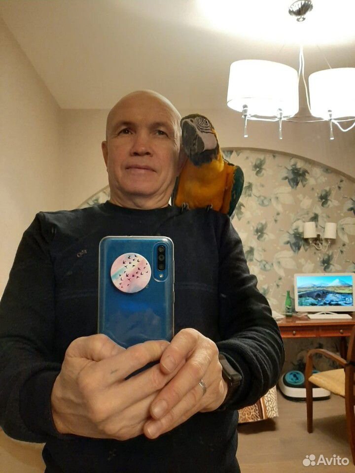 Самый прекрасный в Мире попугай Ара