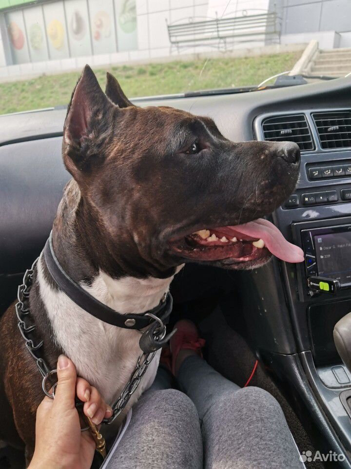 Ищем подружку