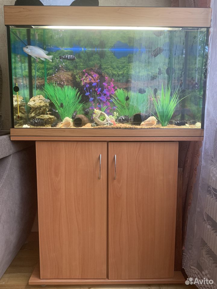 Аквариум 120л с тумбой
