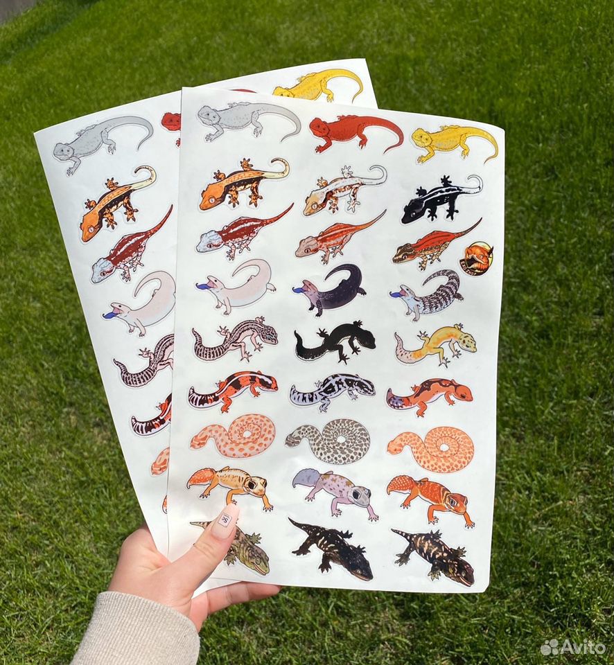 Наклейки Рептилии Эублефар Агама Гемитеконикс