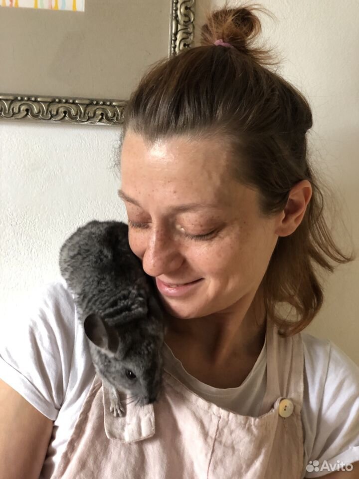 Шиншиллята 3 месяца