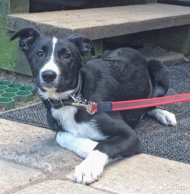 Очаровательная Дина ищет новую Семью