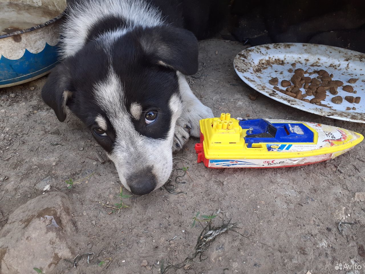 Девочка ждет свою семью