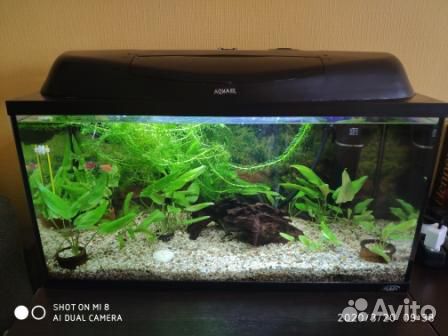 Аквариум Aquael 104л