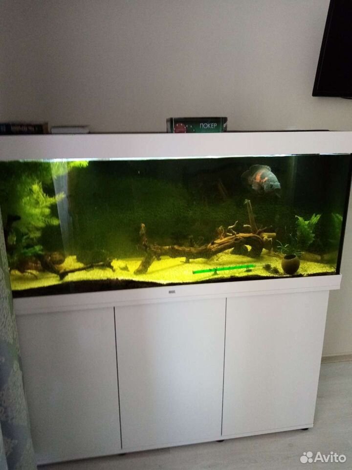 Аквариум