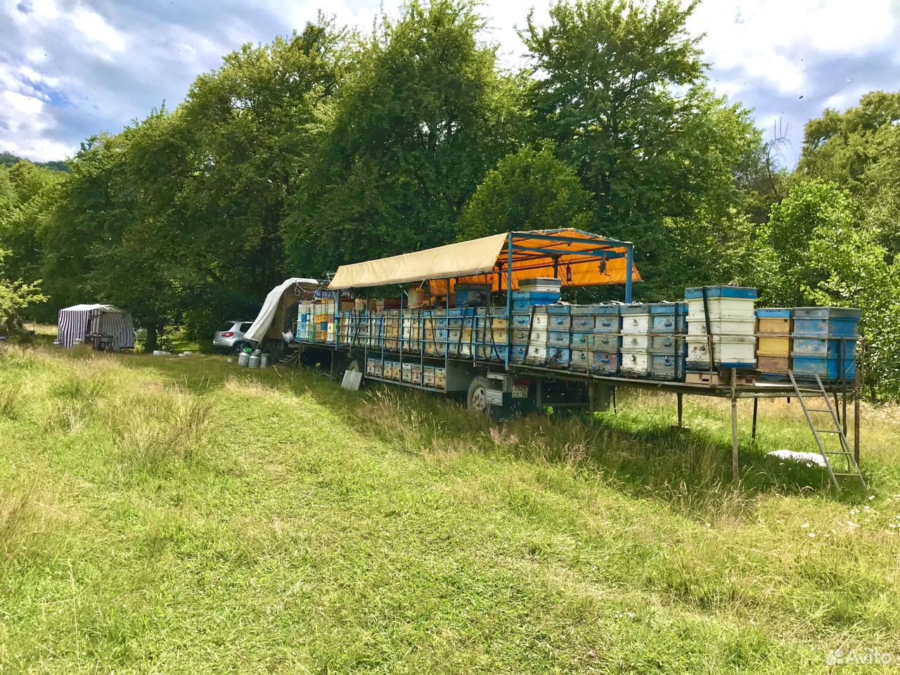 Пасека (готовый бизнес)