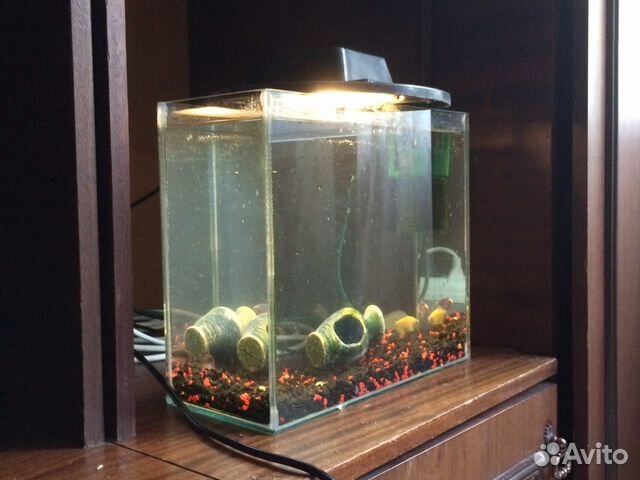 Аквариум