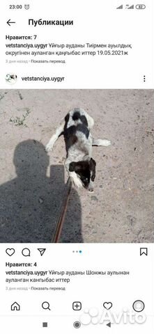 SOS, через пару дней нас мучительно убьют