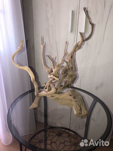 Коряга в аквариум, террариум