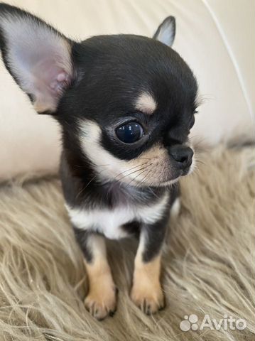 Супермини мальчик