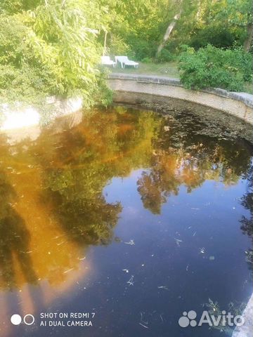 Продам черепаху