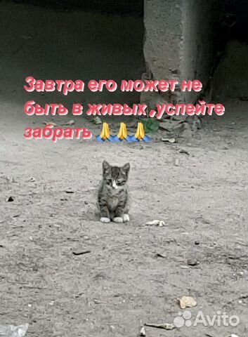 Кроха на улице