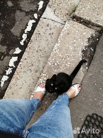 Котенок в добрые руки. Очень ласковый, живёт на ул