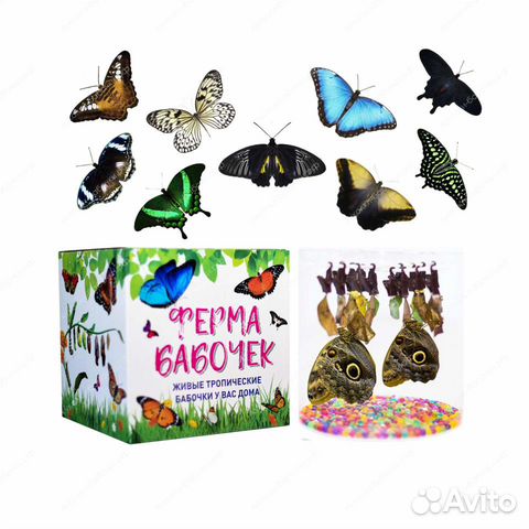 Ферма бабочек