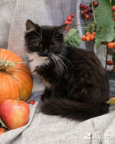 Милая малышка