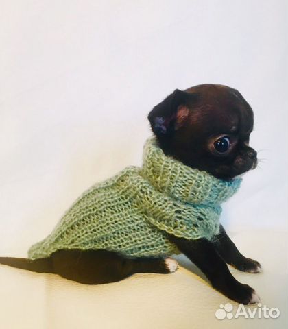 Миниатюрный парнишка