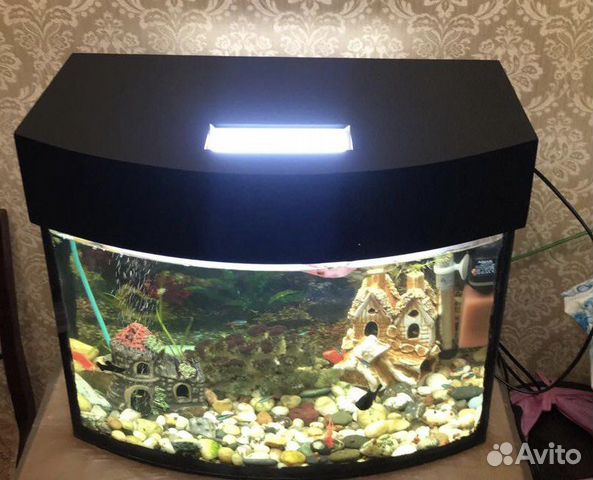 Аквариум