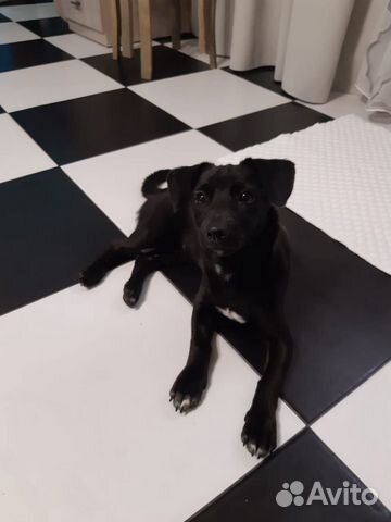 Маленькая Кнопка