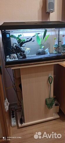 Аквариум + тумба