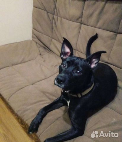 Красавица Зара ищет семью