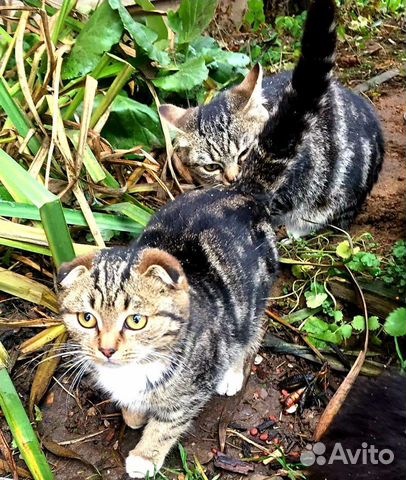 Холодно. Пора домой. Спасение девочки
