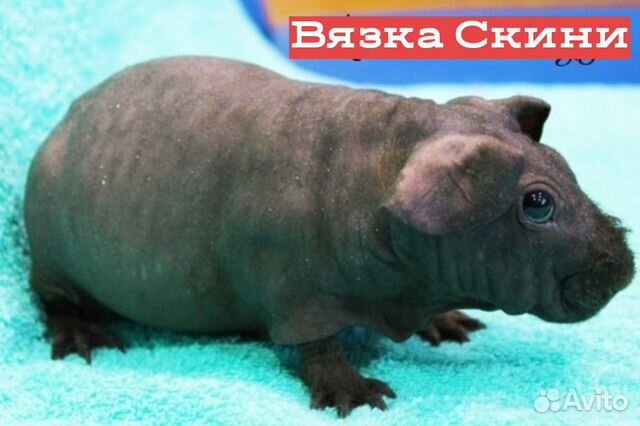 Вязка скинни