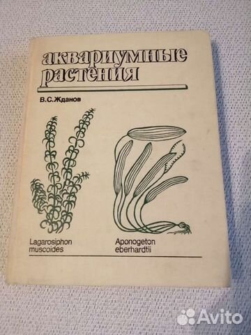 Аквариумные растения