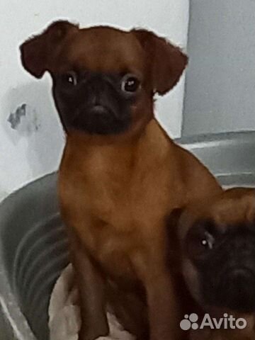 Миниатюрная куколка