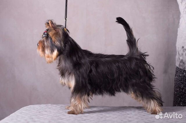 Очень перспективная девчуля