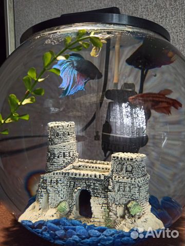 Аквариум с рыбками