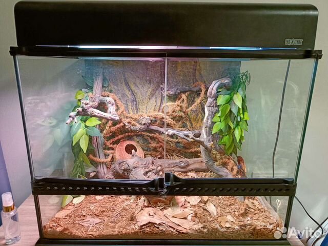 Террариум для рептилий