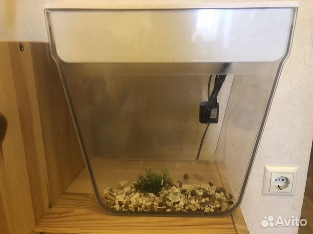 Аквариум- акваферма