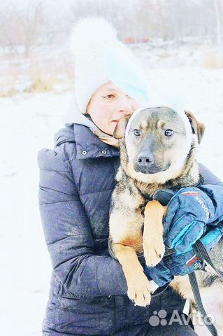 Лукас в добрые руки
