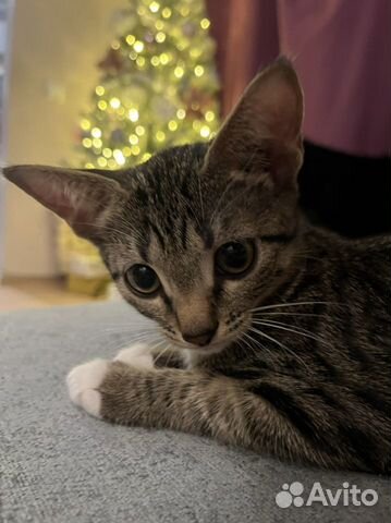 Девчонка пятнистая ждет родителей