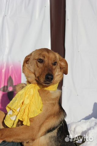 Баффи ищет маму