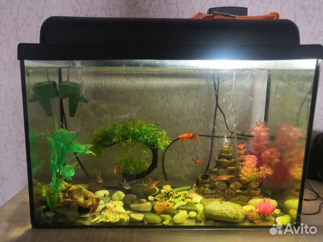 Аквариум