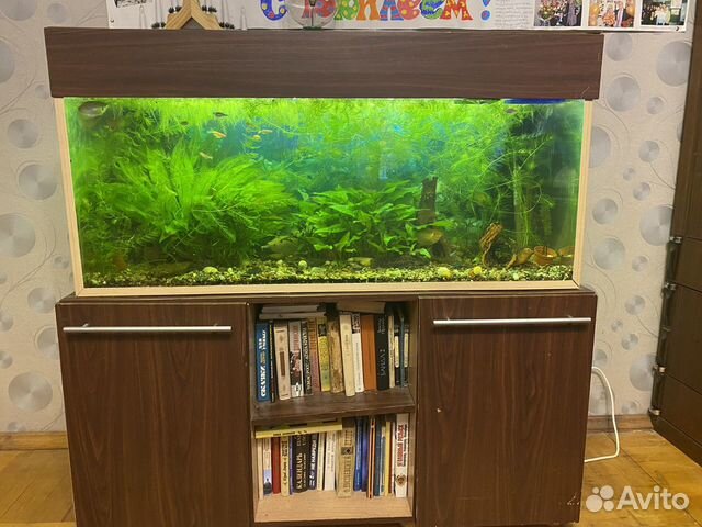 Аквариум из оргстекла