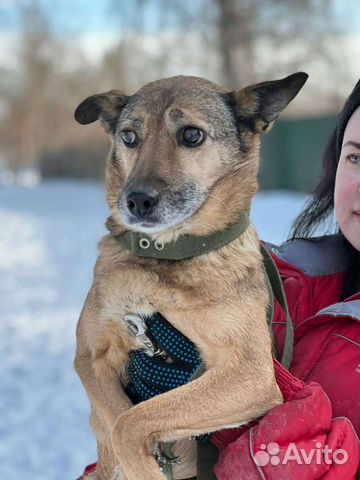 Милая Лиля хочет домой