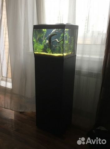 Аквариум Hagen Fluval Flex 34 с тумбой
