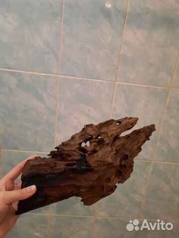 Коряги для аквариума мангровое дерево