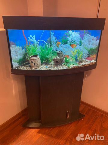 Аквариум 200 литров с тумбой