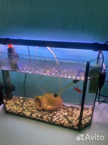 Аквариум 16-20л полный комплект