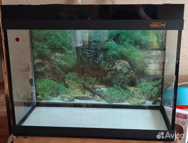 Аквариум 140л