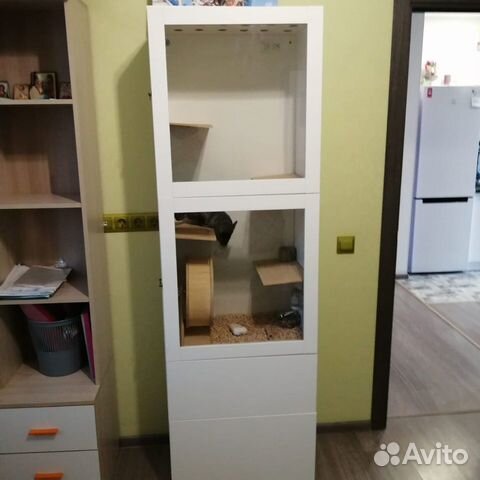 Продам шиншилу вместе с витриной